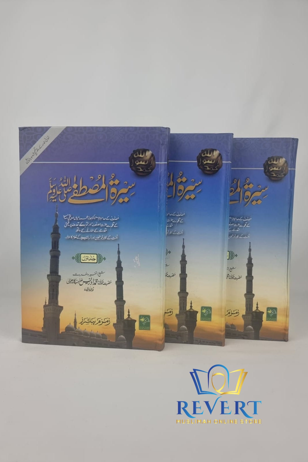 Seeratul Mustafa 3 Volumes in Urdu (New Edition ...